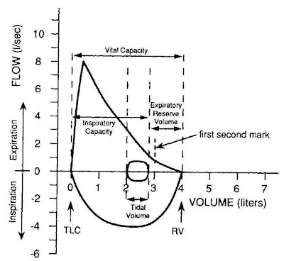 Phimaimedicine: 6. Flow-volume curve/Obstruction